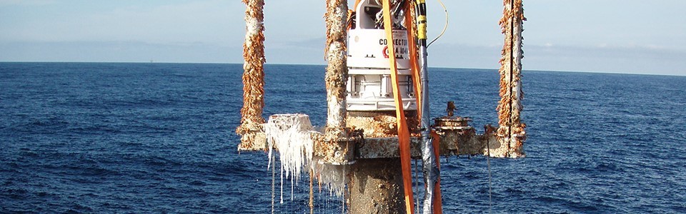 Riserless Light Well Intervention - TechnipFMC plc