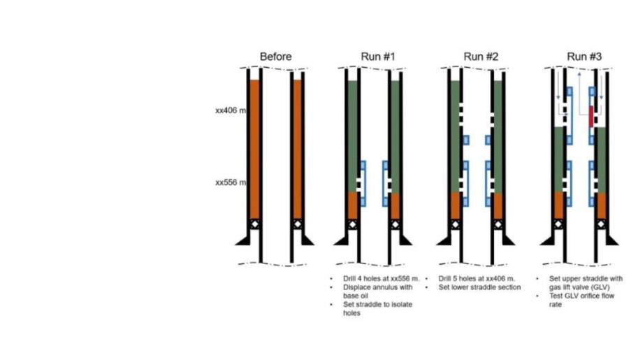 Riserless Light Well Intervention - TechnipFMC plc
